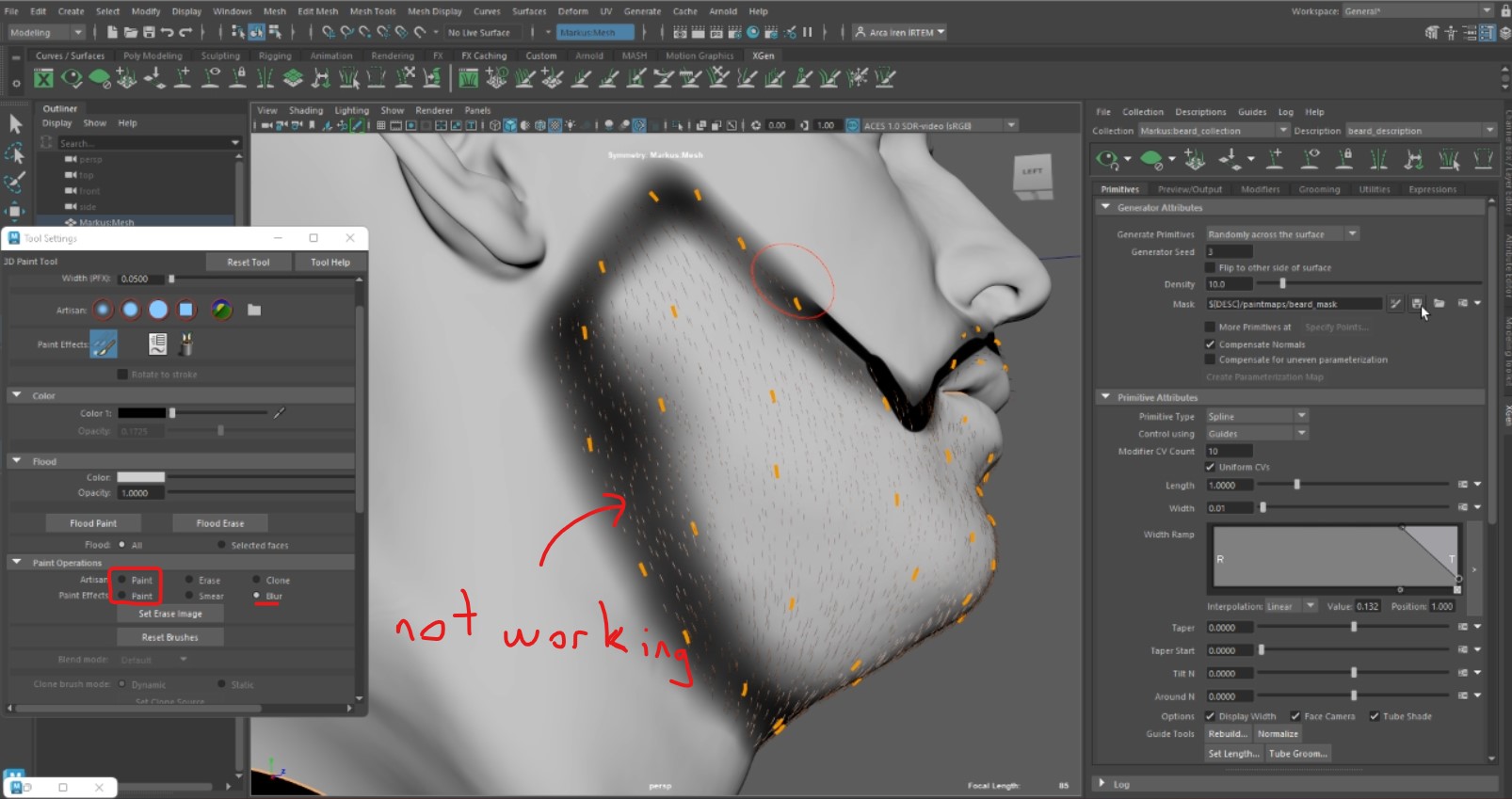 Xgen paint mask bug - Autodesk Community
