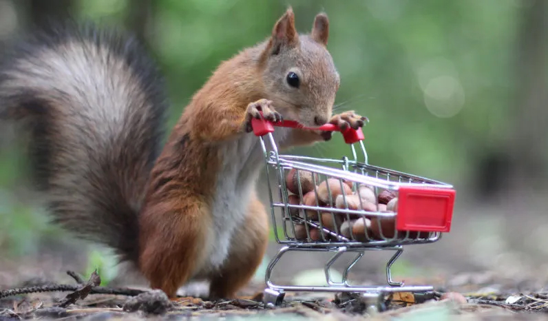 Solved: UV Editor: Cannot move shells - Autodesk Community