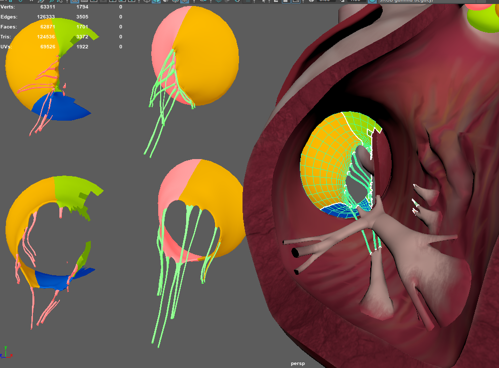 SPLIT/ DUPLICATE SKINNED MESH WITH BLENDSHAPE - Autodesk Community