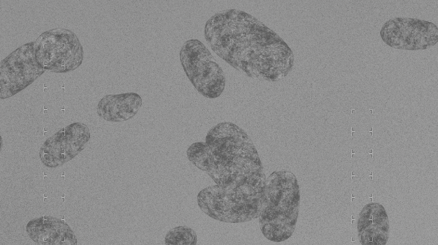 Problem with Arnold Normal mapping in Houdini - Autodesk Community