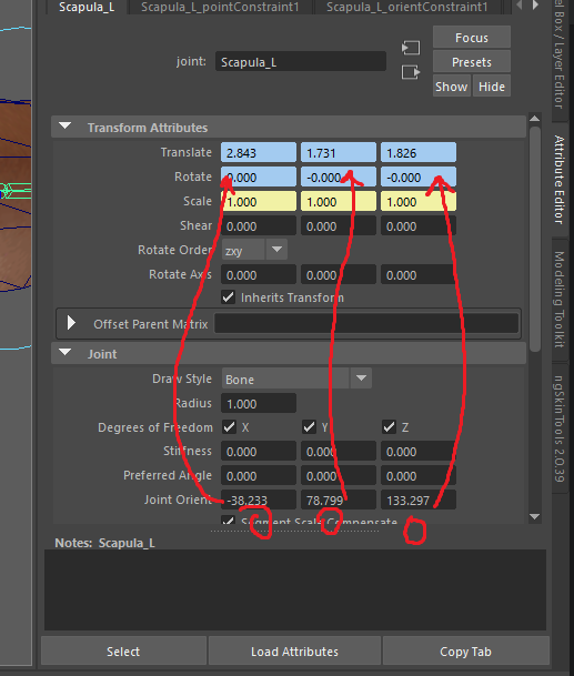 Advanced Skeleton - Preserve joint orientation - Autodesk Community
