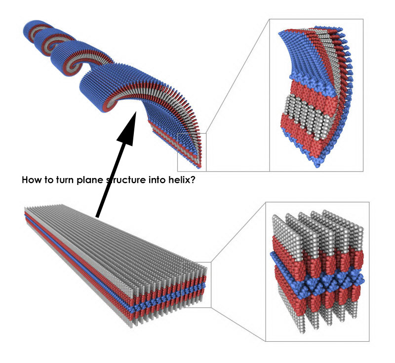 how to roll this sheet into helix - Autodesk Community