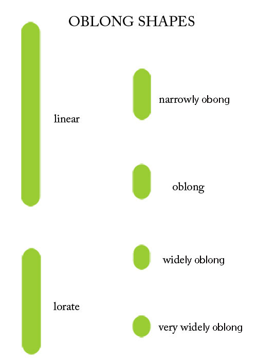 Solved: Help in Sketching Oblong Slots - Autodesk Community