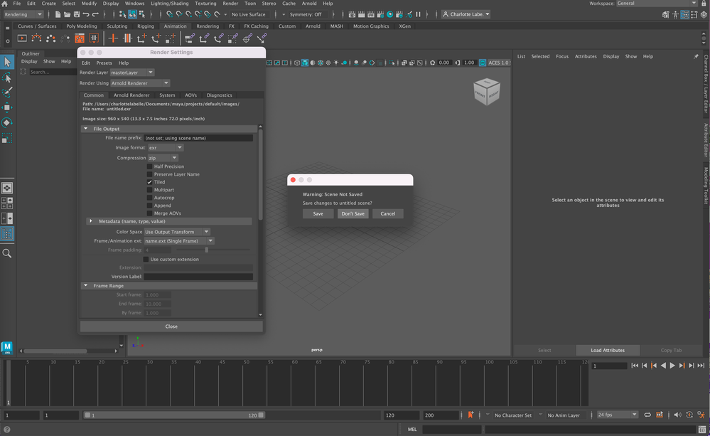 Maya crashes when I try to see render view - Autodesk Community