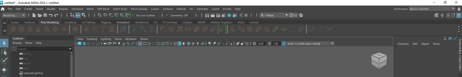 Solved: How do I enable Poly Model top Section? - Autodesk Community