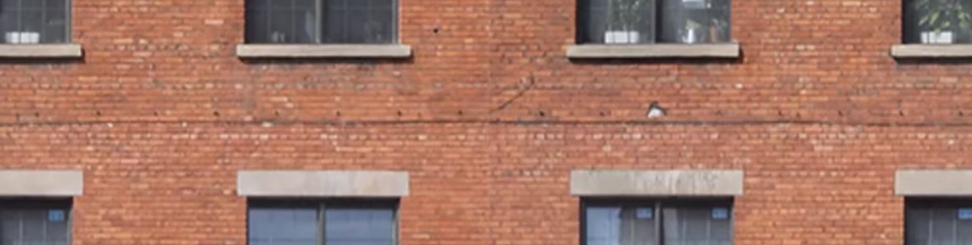 Creating City Blocks in 3ds Max - Part 18 - Creating a Building Texture ...