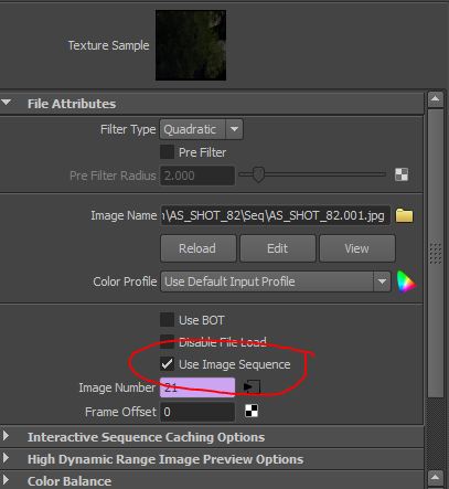 Camera maps image sequence not playing when batch rendering. - Autodesk Community