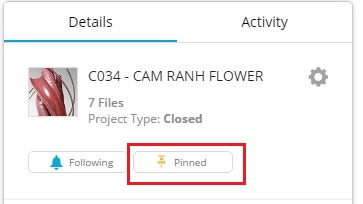 Solved: Pinned and Unpin setting in C4R - Autodesk Community
