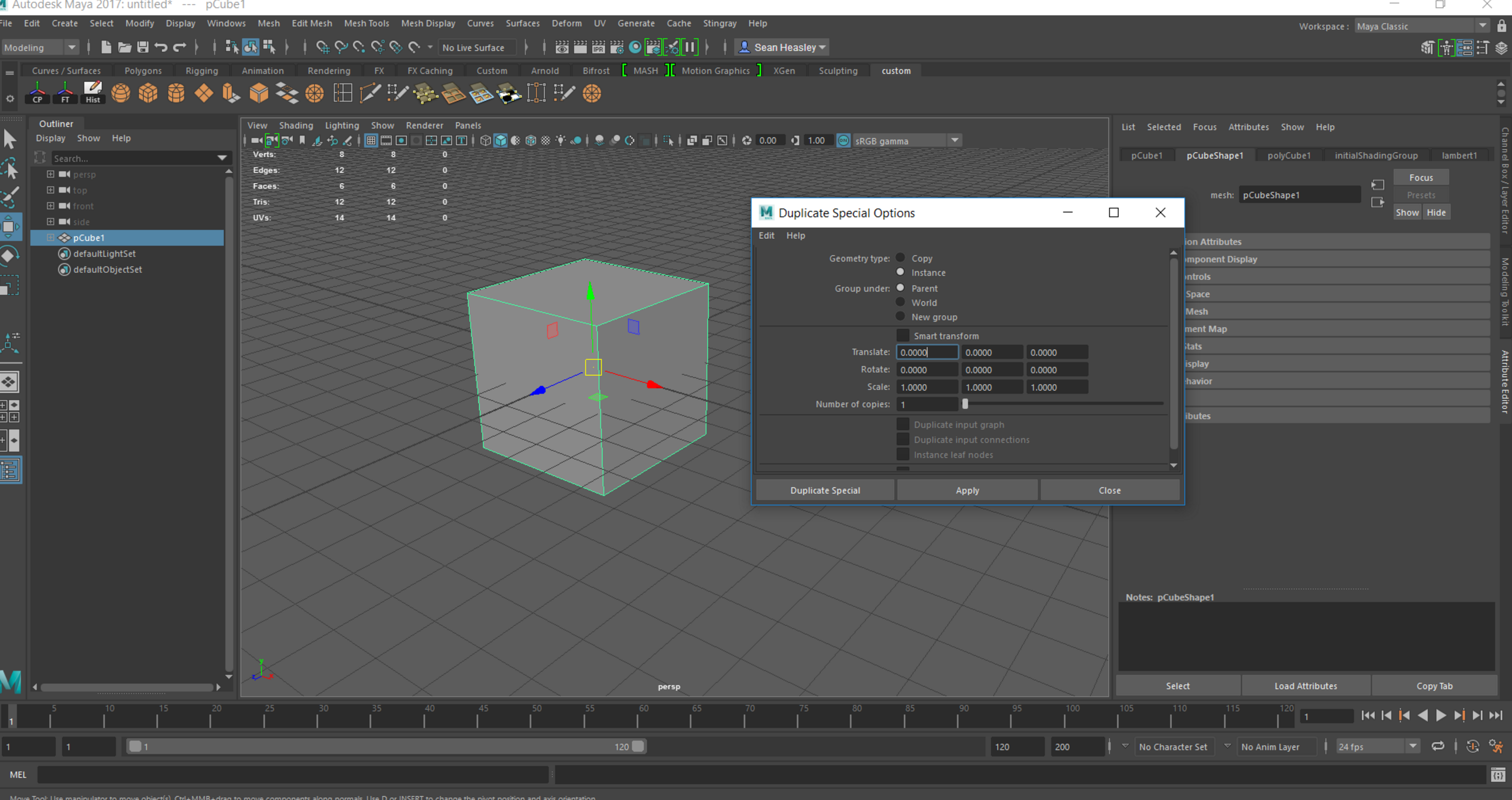 Solved: Are there different types of objects in Maya? - Autodesk Community