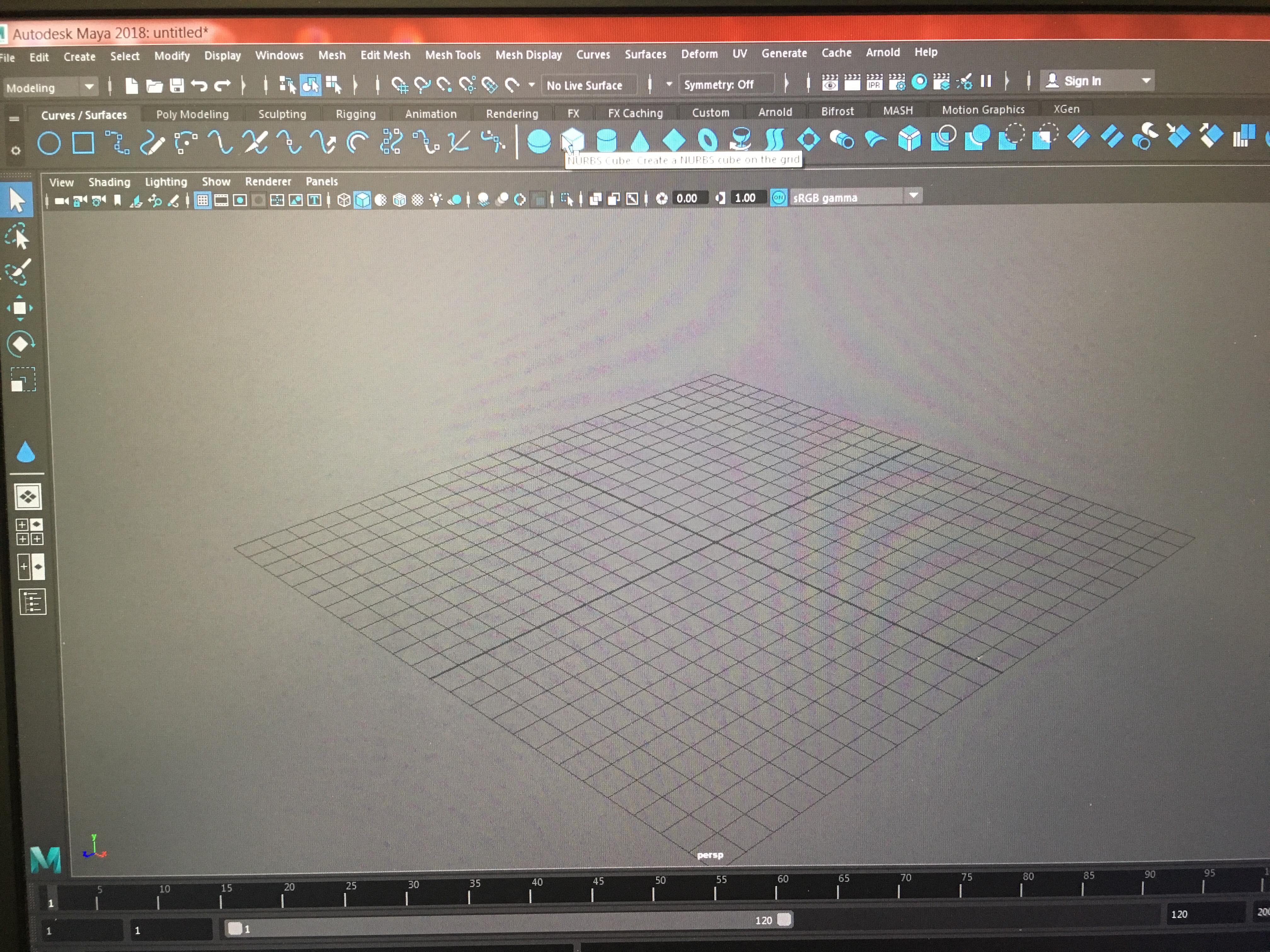 Solved: Not able to display the base of some nurbs primitives - Autodesk Community