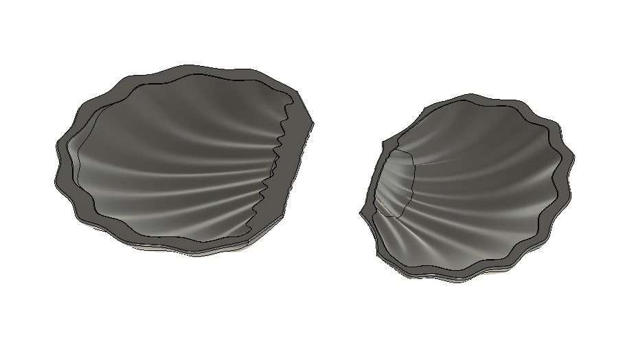 Solved: How would you model a seashell in Fusion 360? - Autodesk Community