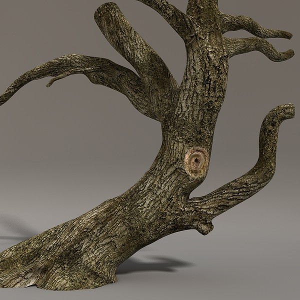 Texturing a tree - Autodesk Community