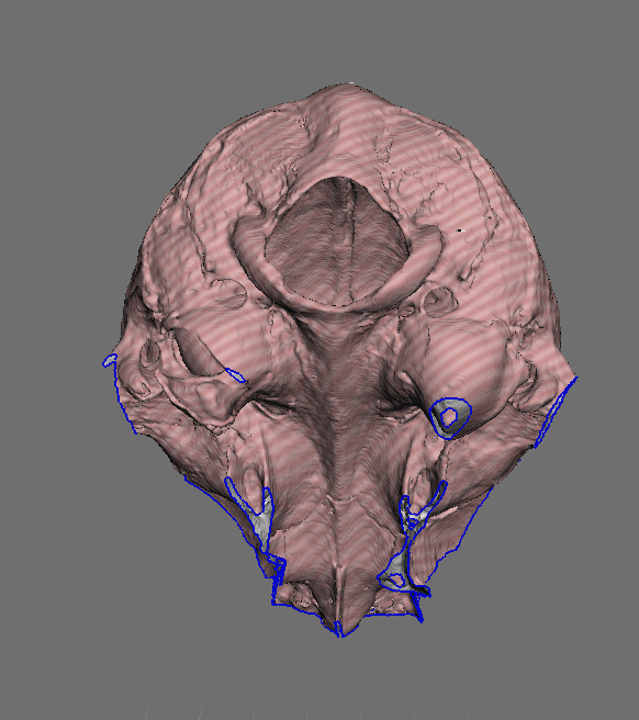 Solved: Inverting an entire mesh with meshlab/meshmixer - Autodesk Community