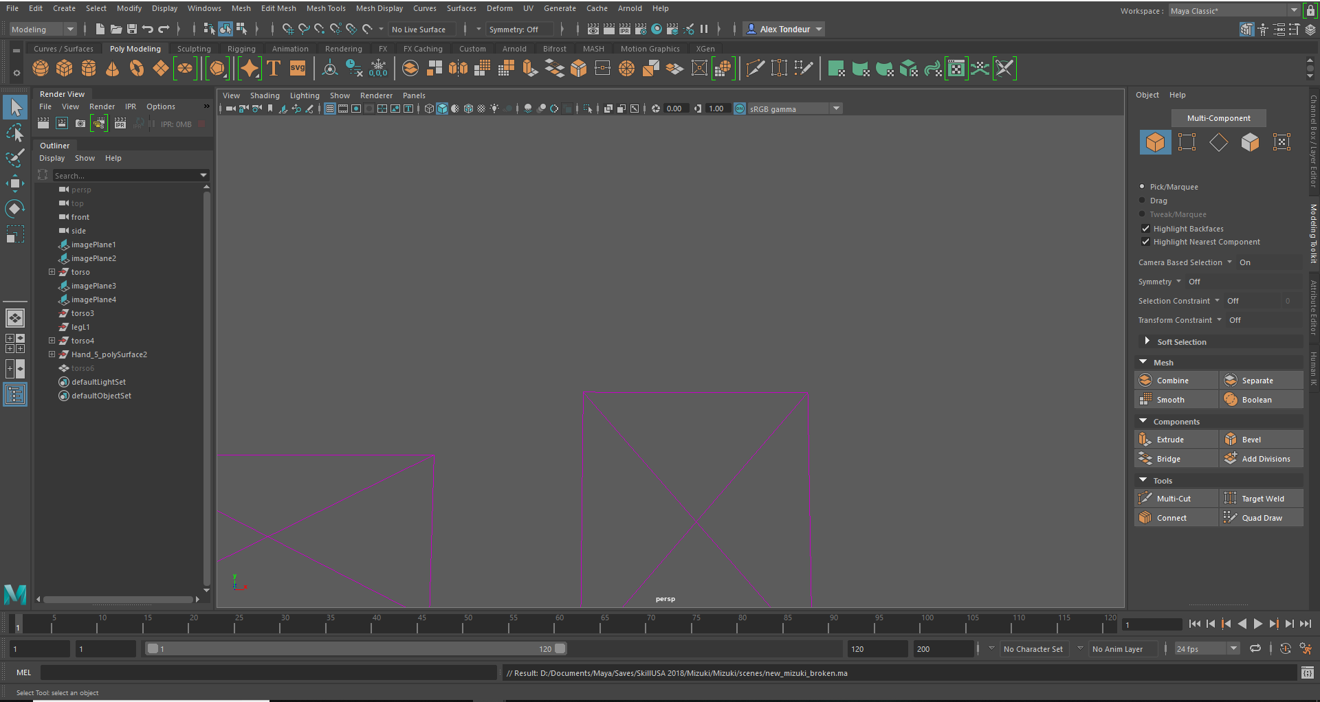 Solved Objects Invisible Missing Upon Reopening Project Autodesk Community