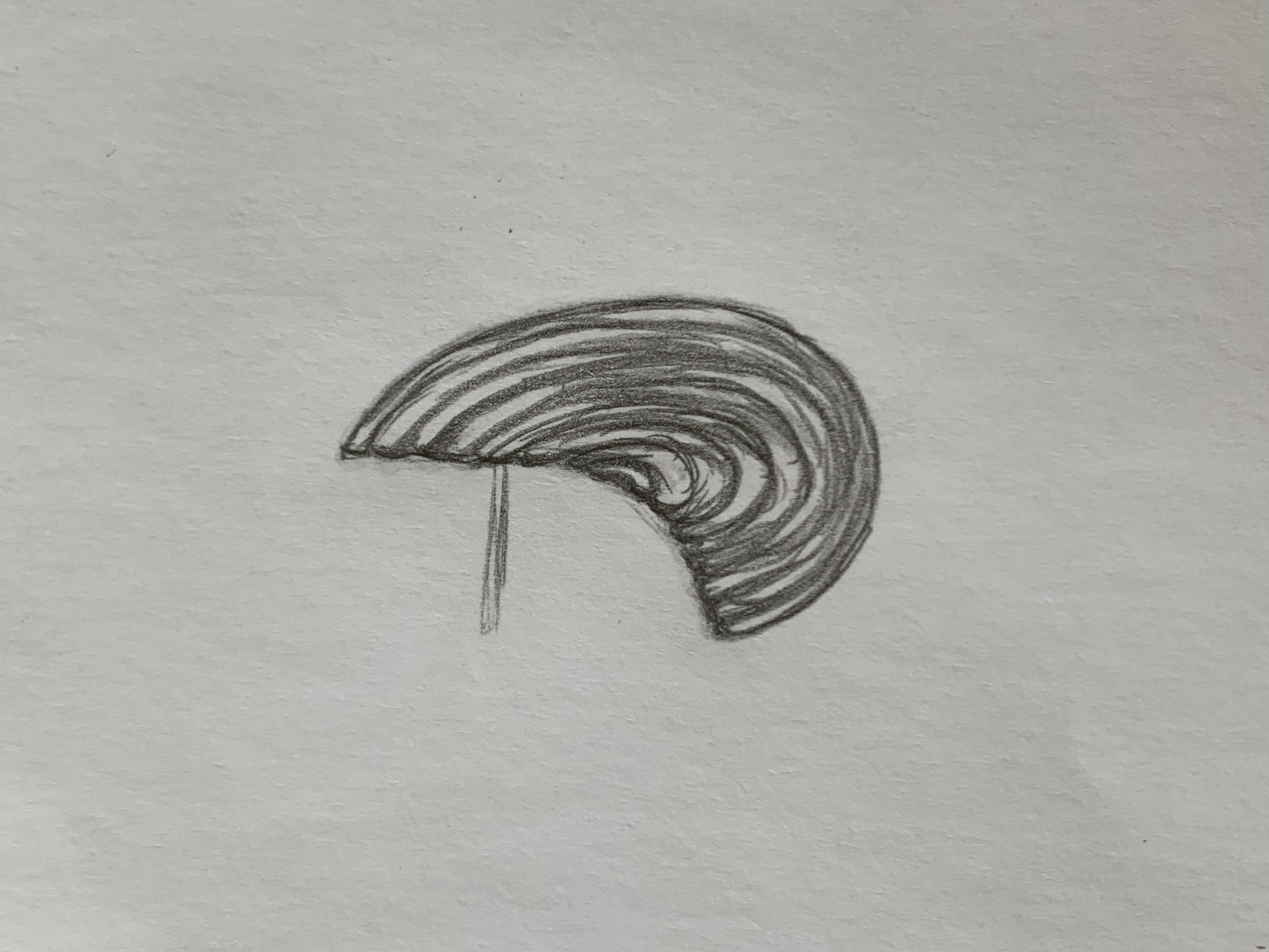 Apply texture to shape - Autodesk Community