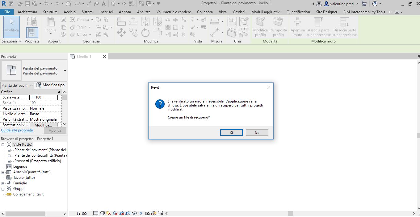 Revit 2020: errore di visualizzazione e errore irreversibile - Autodesk ...