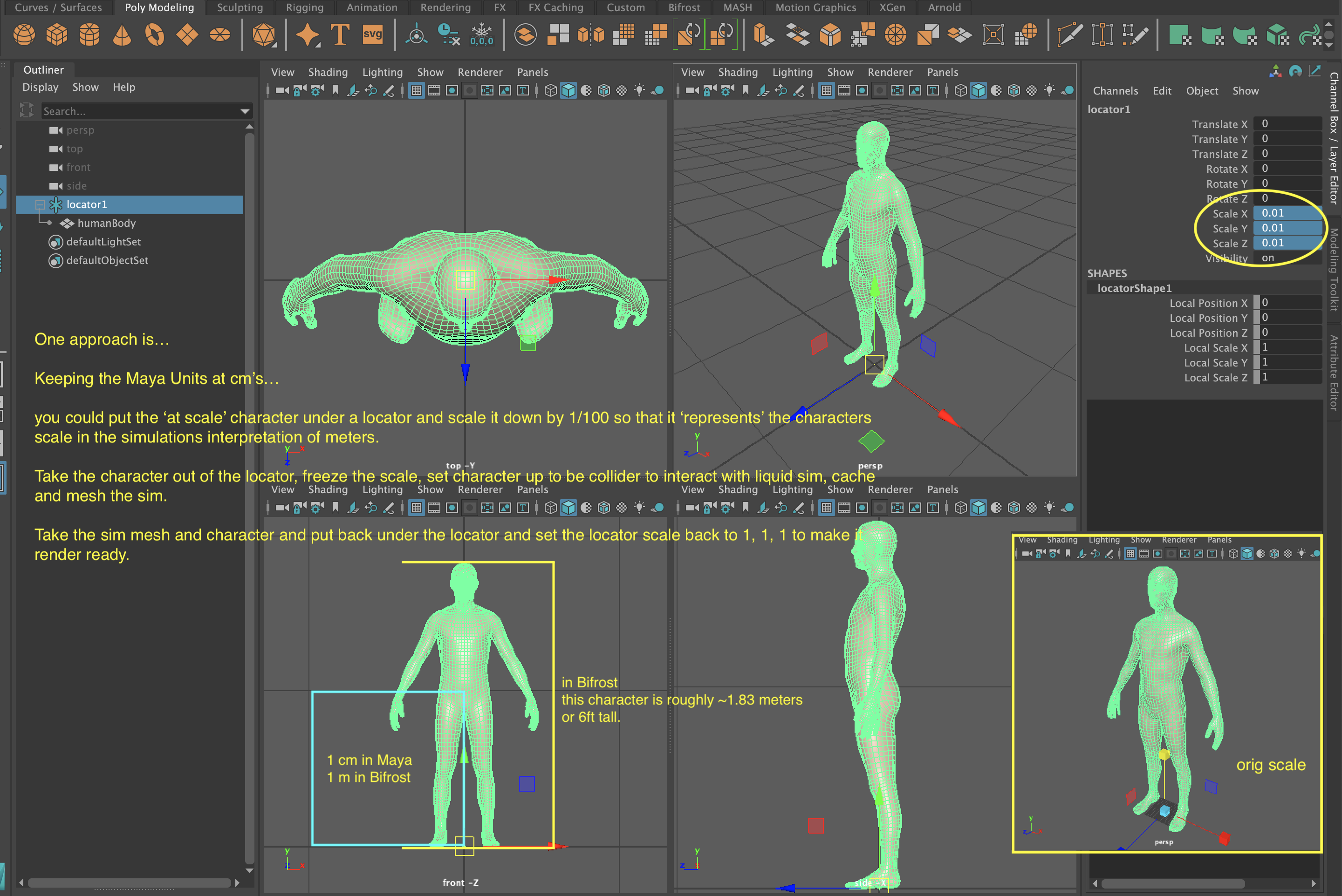 bifrost flip sim stepping the graph error - Autodesk Community