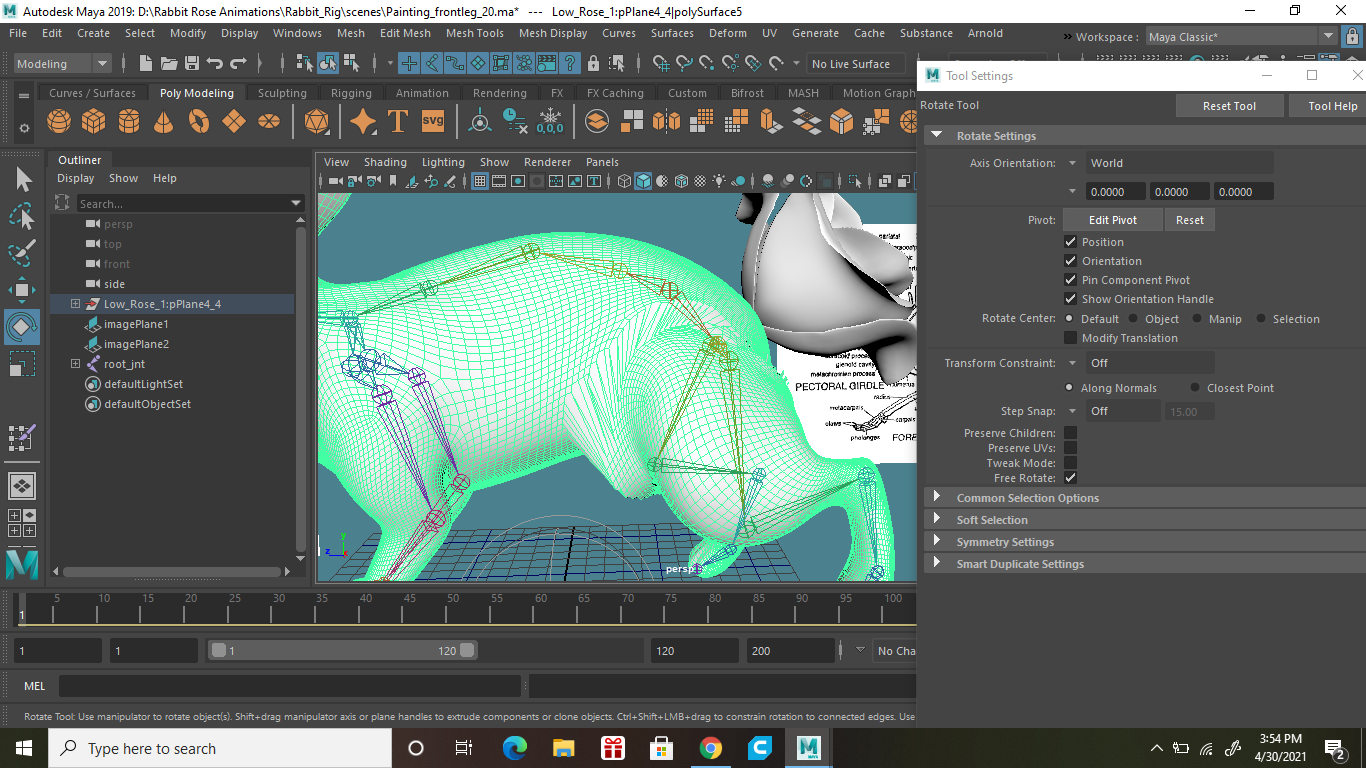 Painting Weights Stretching Issue - Autodesk Community