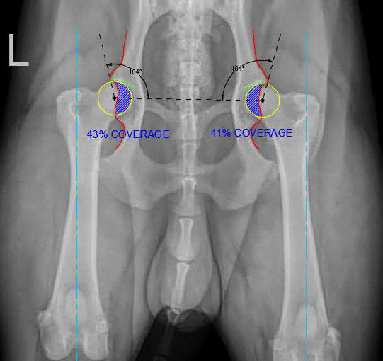 Solved: Help with creating this layout - Autodesk Community